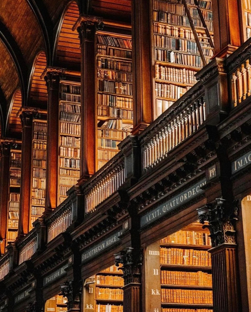 The Most Beautiful Book Places in the World – 1000 Libraries